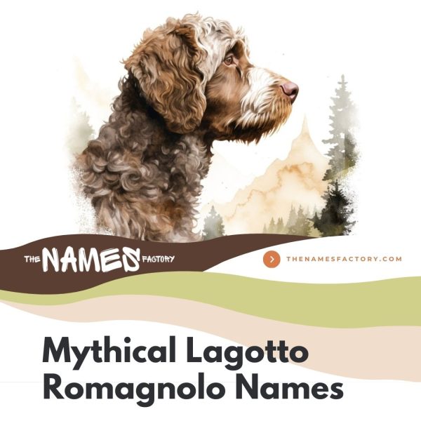 225+ Best Lagotto Romagnolo Names Ideas With Meaning