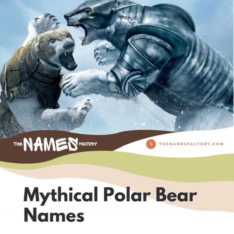 320+ Best Polar Bear Names for Your Snowy Buddy