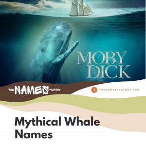 300+ Catchty & Cool Whale Names Ideas