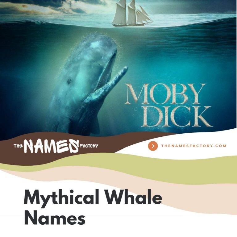 300+ Catchty & Cool Whale Names Ideas