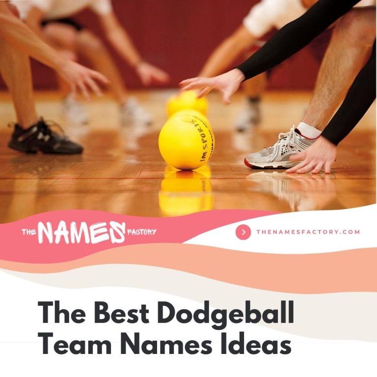 520+ Dodgeball Team Names Ideas [Funny, Clever & Epic]