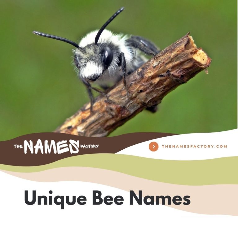 150+ Creative Bee Names for Your Little Friends
