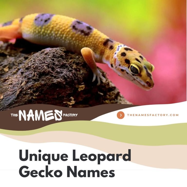 Gecko Names List: Geckos Names – TMHR