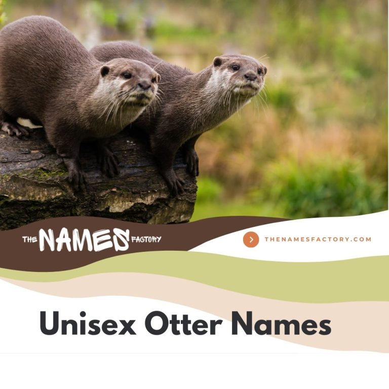 225+ Cool & Catchy Otter Names