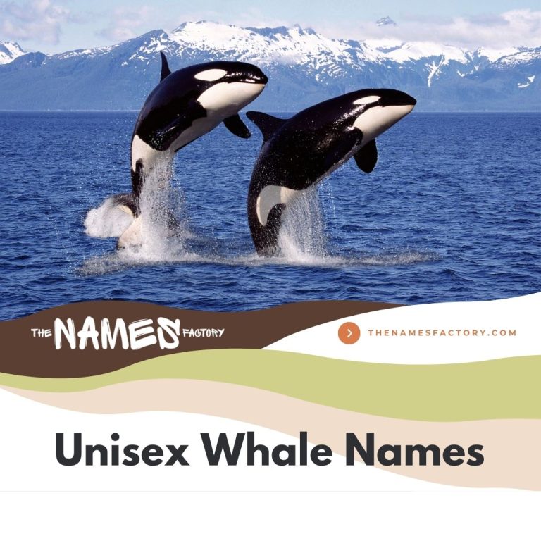 300+ Catchty & Cool Whale Names Ideas