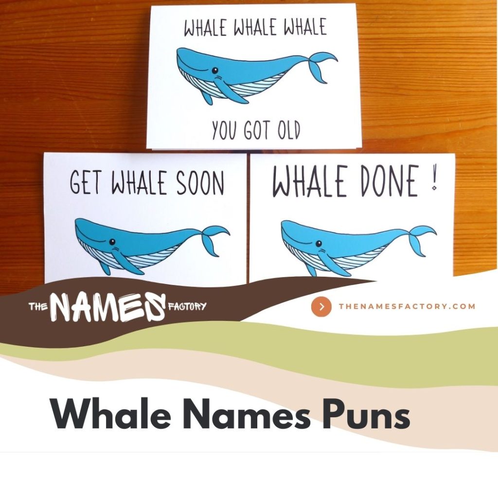 300+ Catchty & Cool Whale Names Ideas