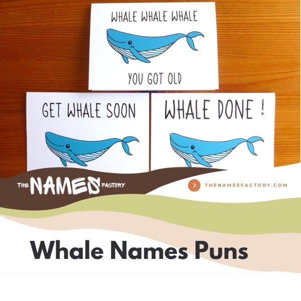 300+ Catchty & Cool Whale Names Ideas
