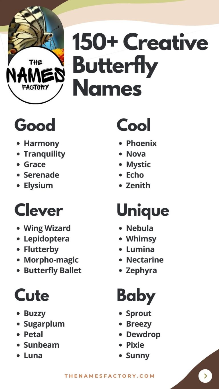 150+ Unique Butterfly Names to Discover