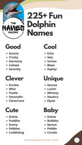 225+ Dolphin Names Ideas for Your Clever Aquatic Friend