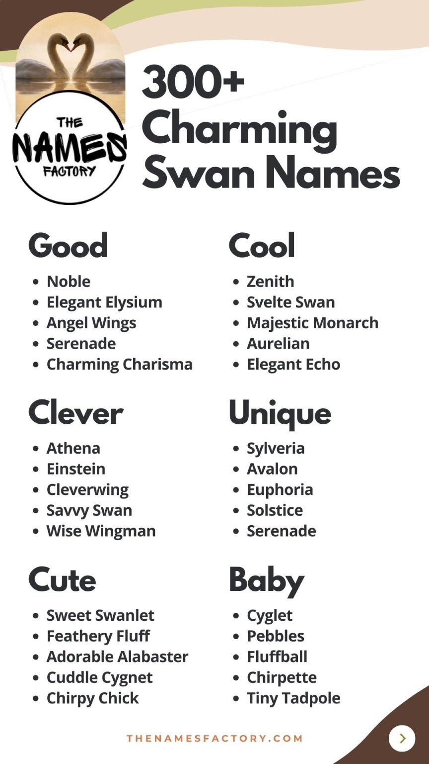 +300 Most Beautiful Swan Names for Your Birds