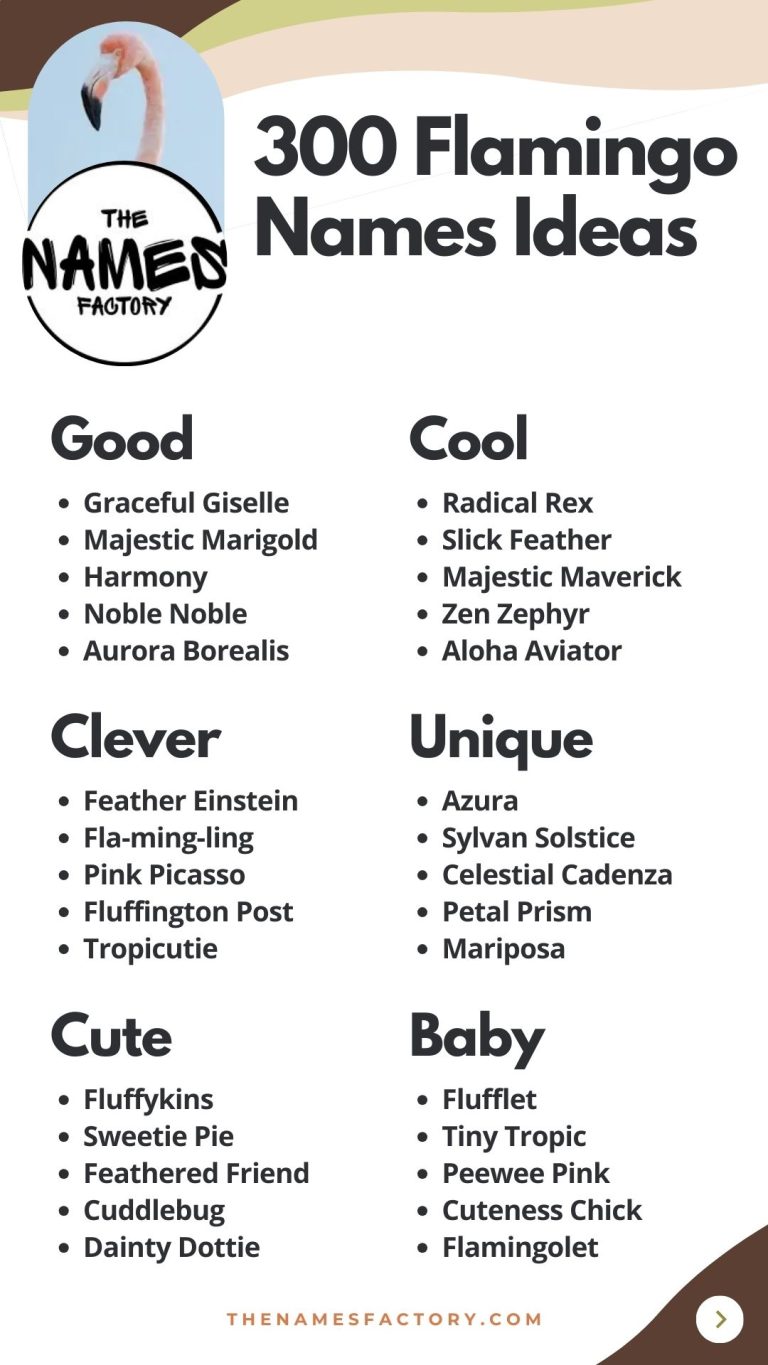300+ Fantastic Flamingo Names Ideas for Your Lovely Bird