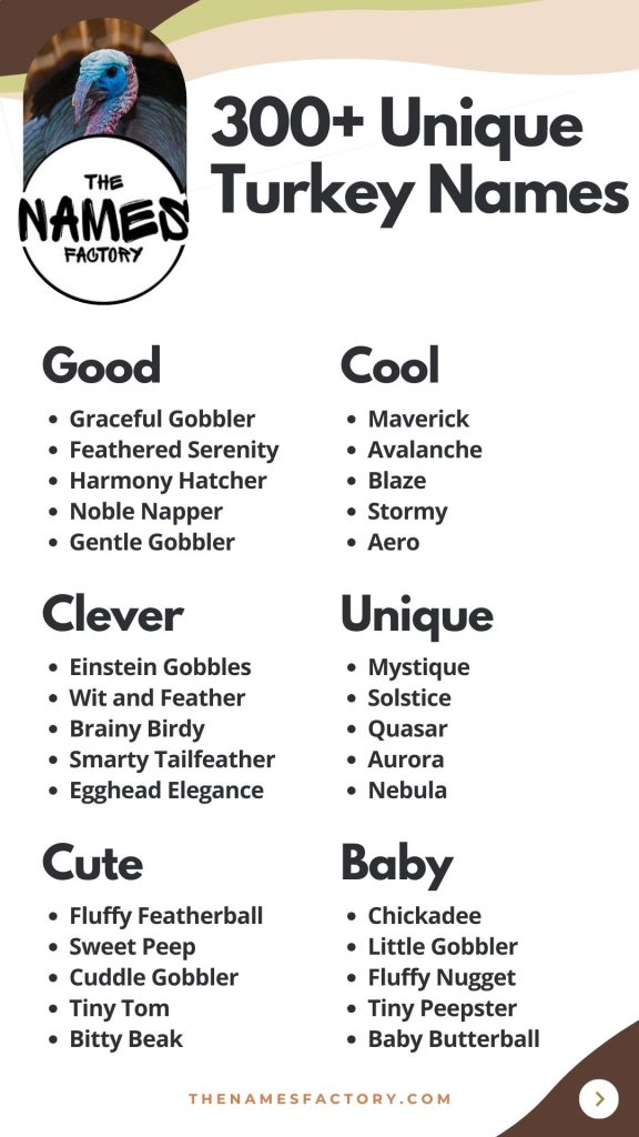 300+ Best Turkey Names for Your Feathered Pet